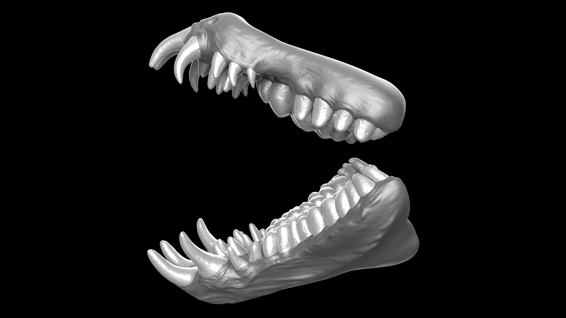 ArtStation - CREATURE KITS: Wolf Fish Teeth & Gums - High Poly OBJ File ...