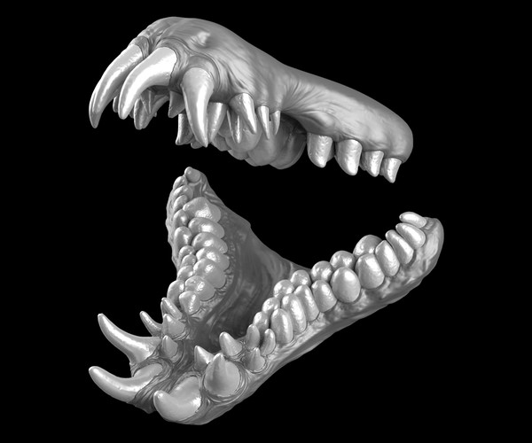 ArtStation - CREATURE KITS: Wolf Fish Teeth & Gums - High Poly OBJ File ...