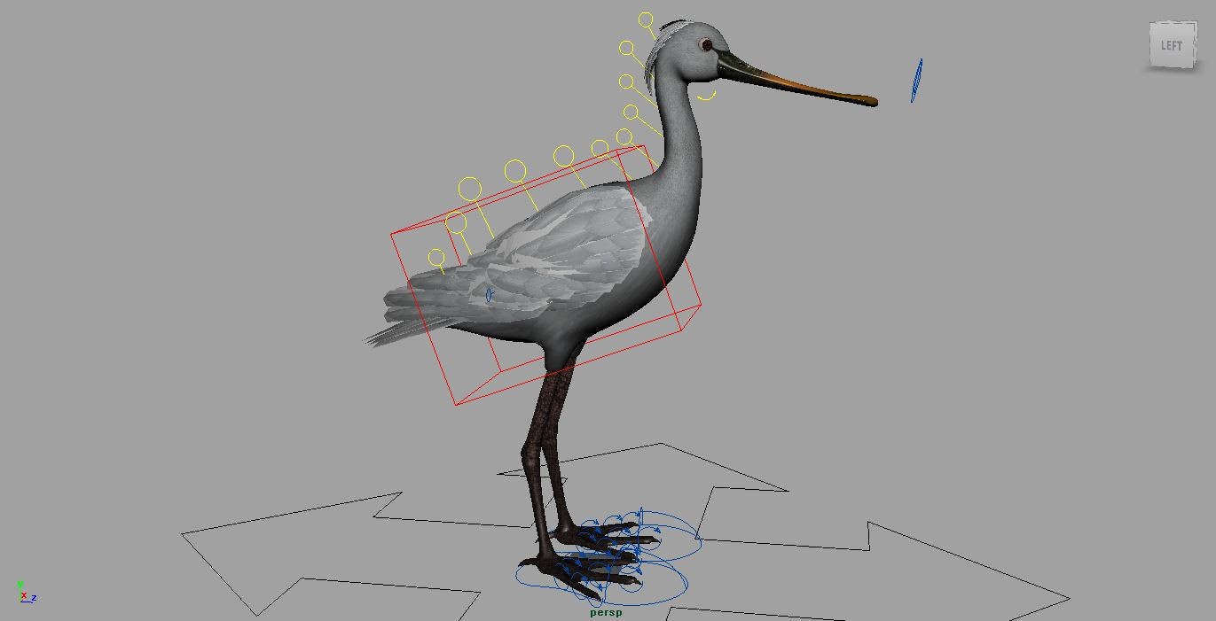 ArtStation - Spoonbill Bird rig | Resources