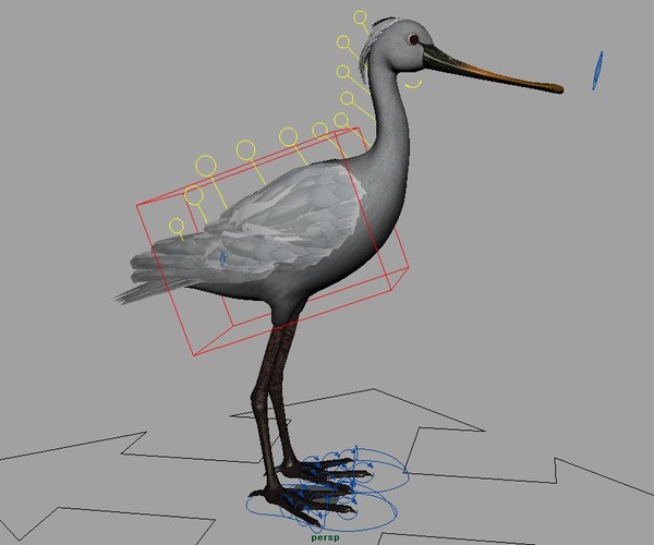 ArtStation - Spoonbill Bird rig | Resources