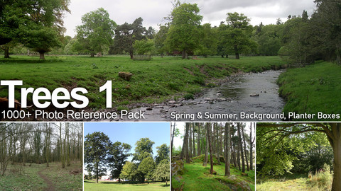 ArtStation - Ground Texture Reference 1 - Nature | Resources