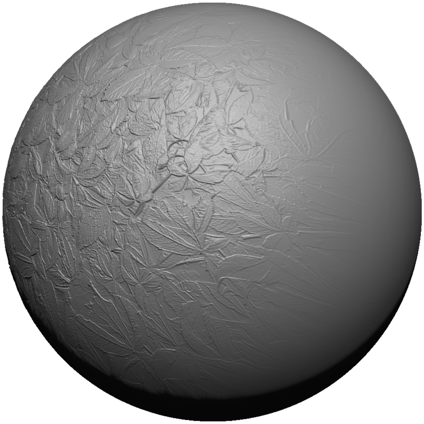 ArtStation - Nature Alphas Volume 01 | Brushes