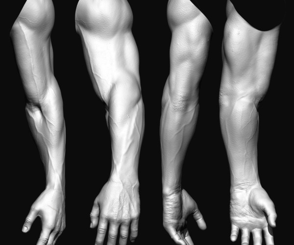 ArtStation - Helping Hand - FPS arm / Cinematic arm | Resources