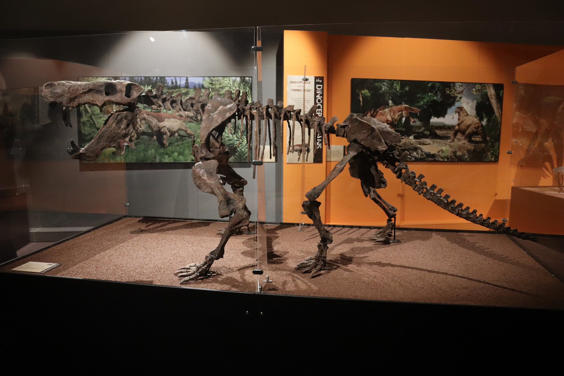 ArtStation - Synapsid Skeleton Reference | Resources