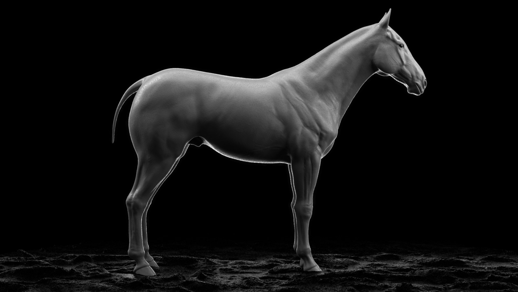 ArtStation - Horse - Free model for personal practice | Resources ArtStation - Horse - Free model for personal practice | Resources