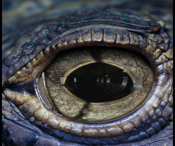 ArtStation - Creature Eye Textures - Vol 03 | Resources