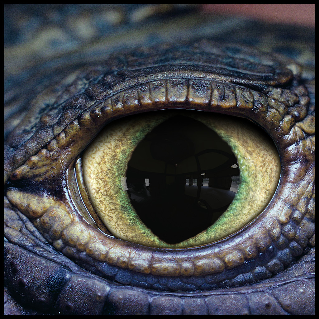 ArtStation - Creature Eye Textures - Vol 03 | Resources