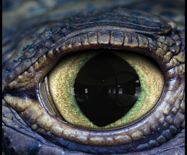 ArtStation - Creature Eye Textures - Vol 03 | Resources