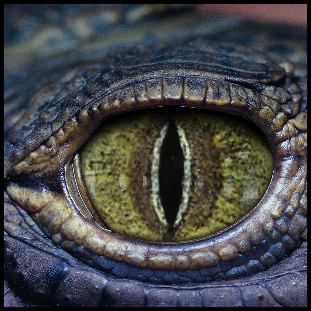 ArtStation - Creature Eye Textures - Vol 03 | Resources