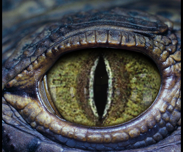 ArtStation - Creature Eye Textures - Vol 03 | Resources