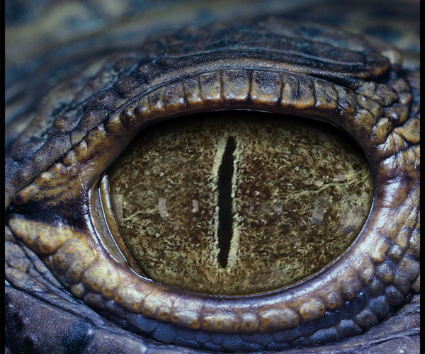 ArtStation - Creature Eye Textures - Vol 03 | Resources