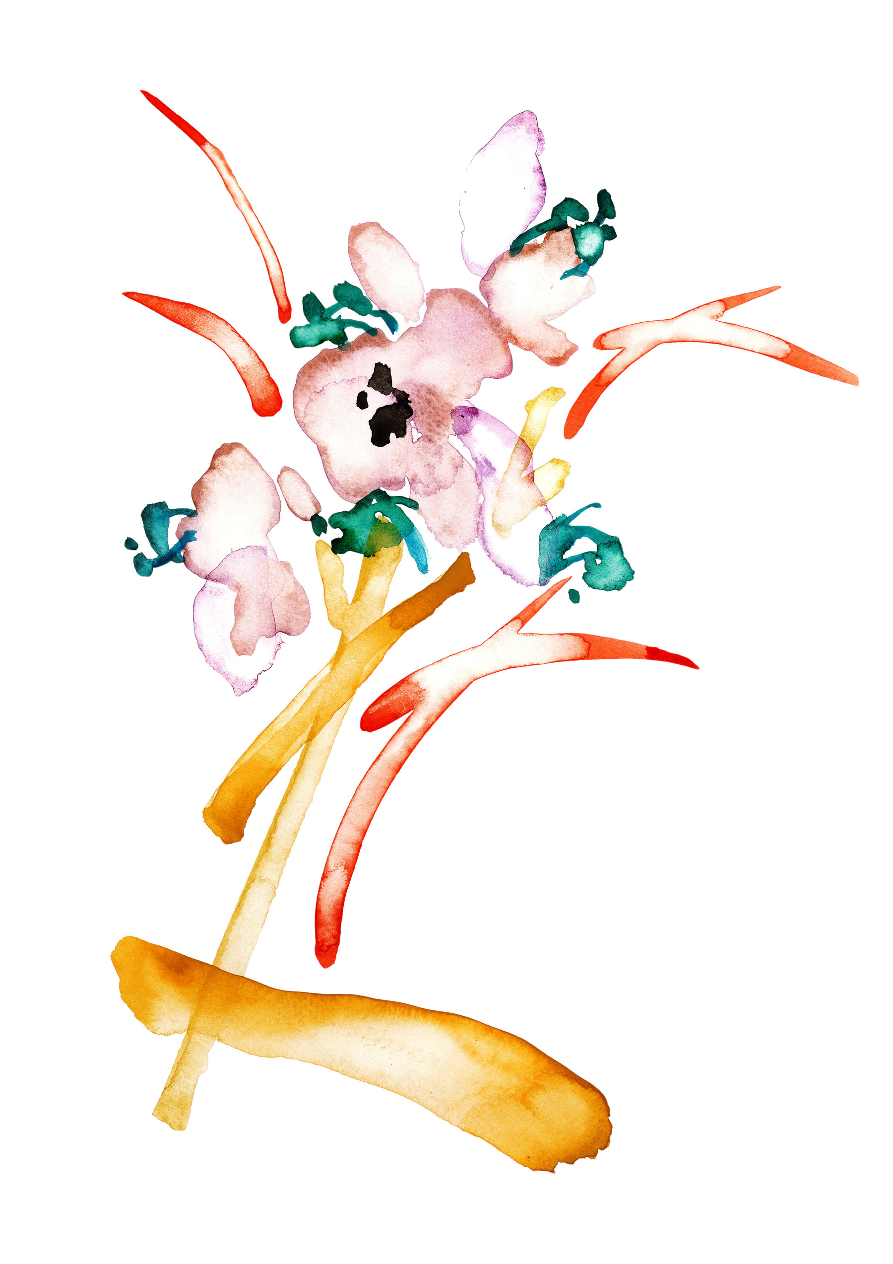 ArtStation - FLORA COLLECTION | Artworks