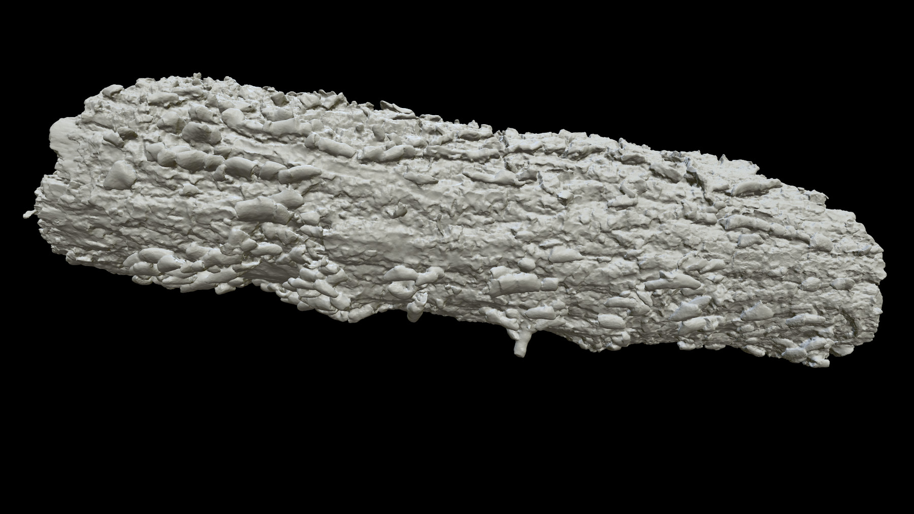 ArtStation - Photoscan_Broken Tree_0001_only HighPoly Mesh (16K Texture ...