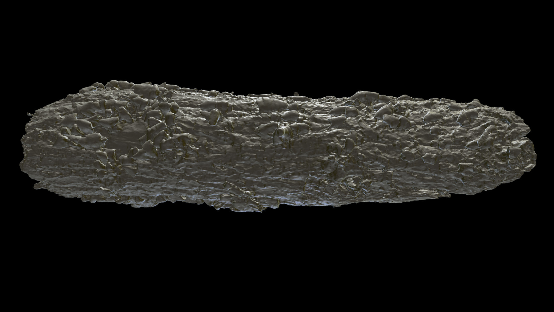 ArtStation - Photoscan_Broken Tree_0001_only HighPoly Mesh (16K Texture ...