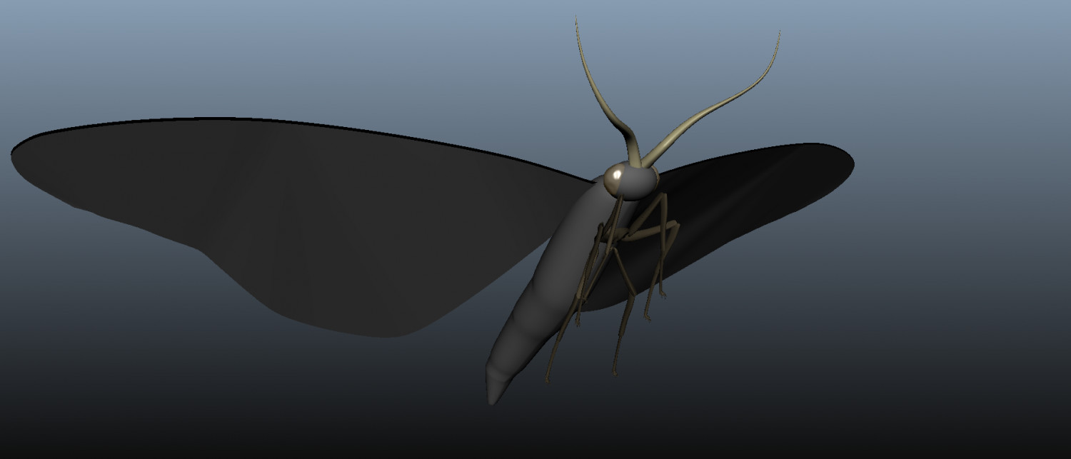 ArtStation - Moth Insect | Resources