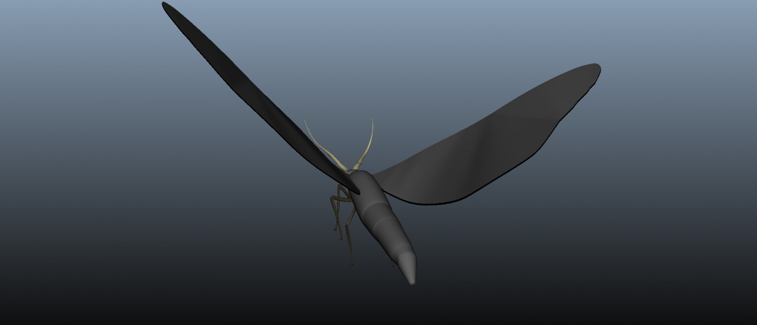 ArtStation - Moth Insect | Resources