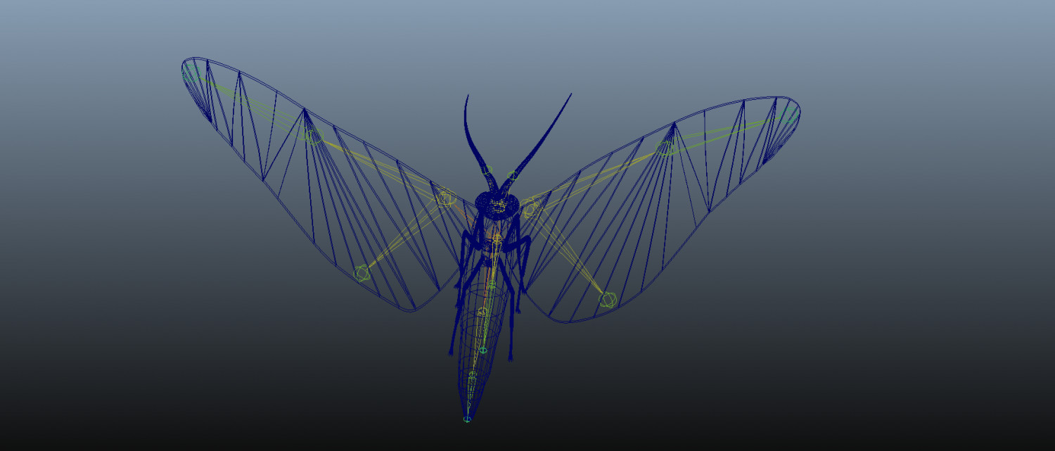 ArtStation - Moth Insect | Resources