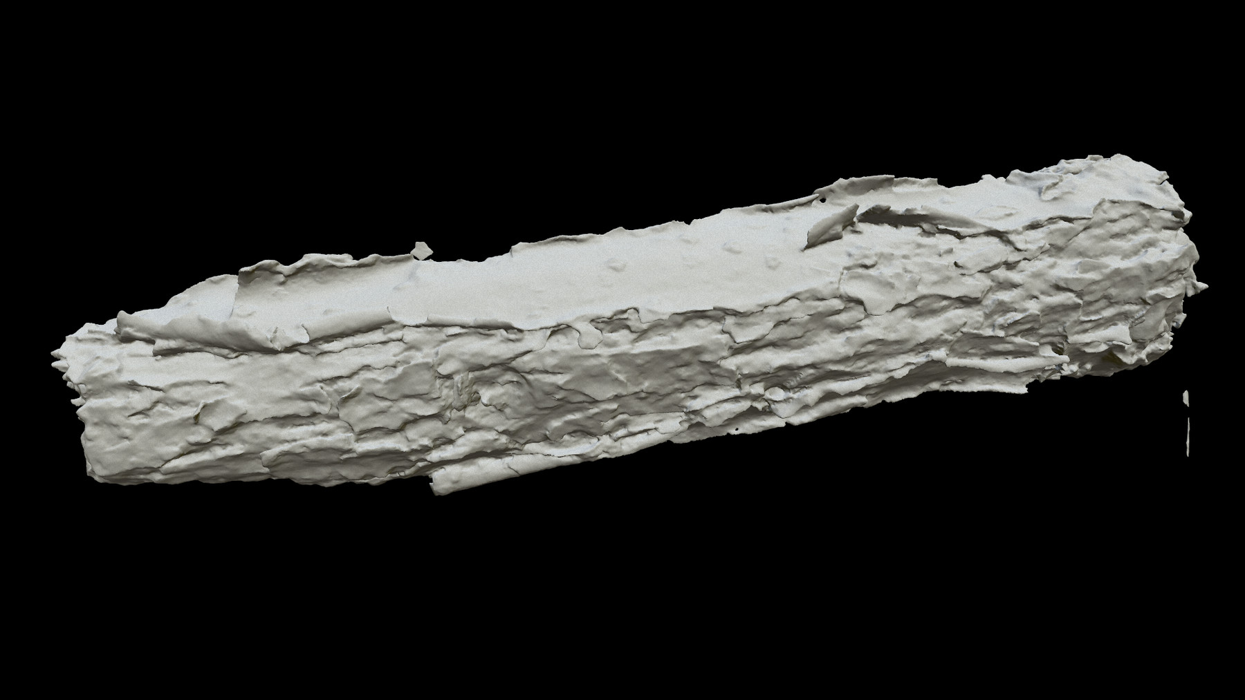 ArtStation - Photoscan_Broken Tree_0003_only HighPoly Mesh (16K Texture ...