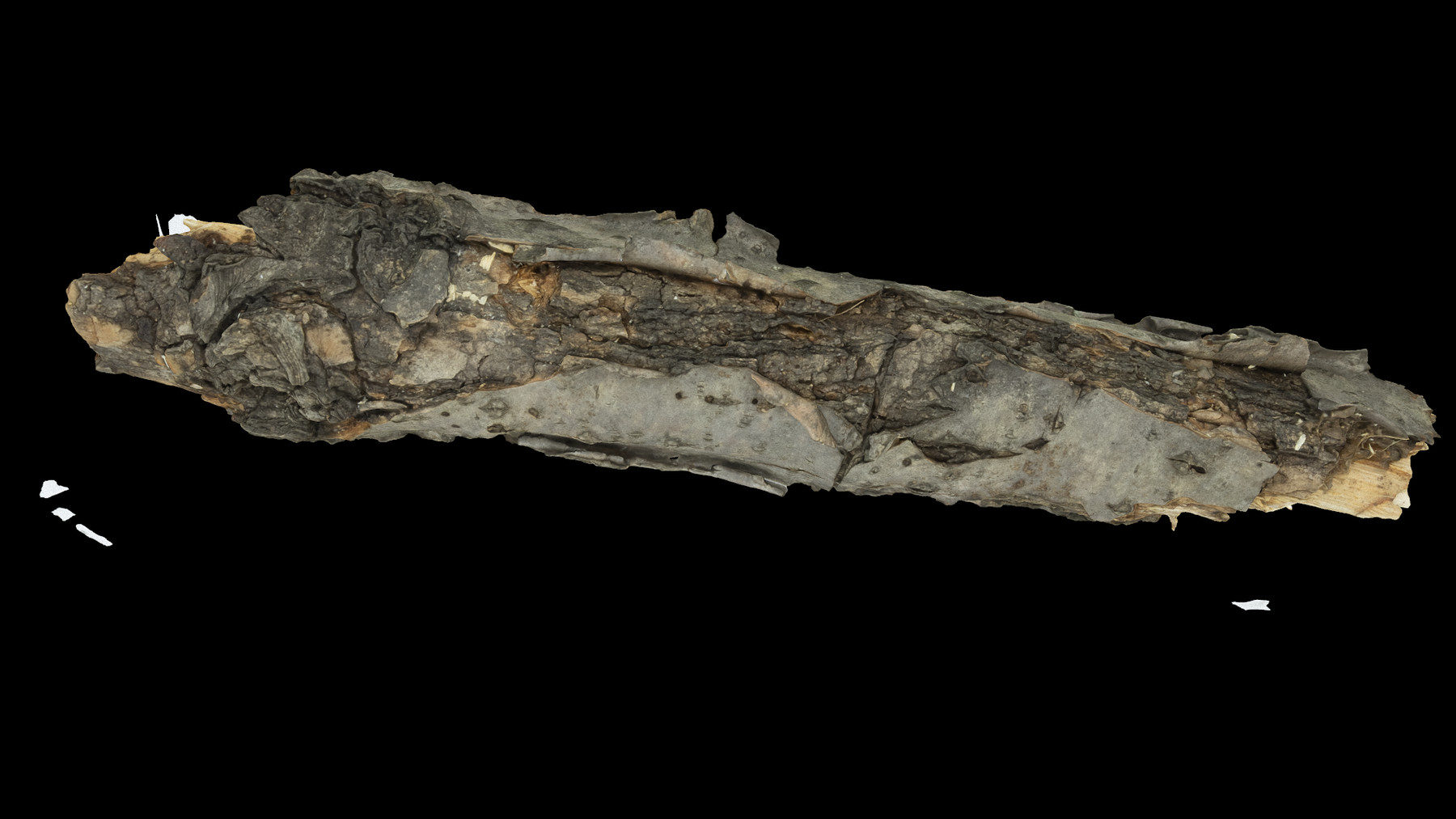 ArtStation - Photoscan_Broken Tree_0003_only HighPoly Mesh (16K Texture ...