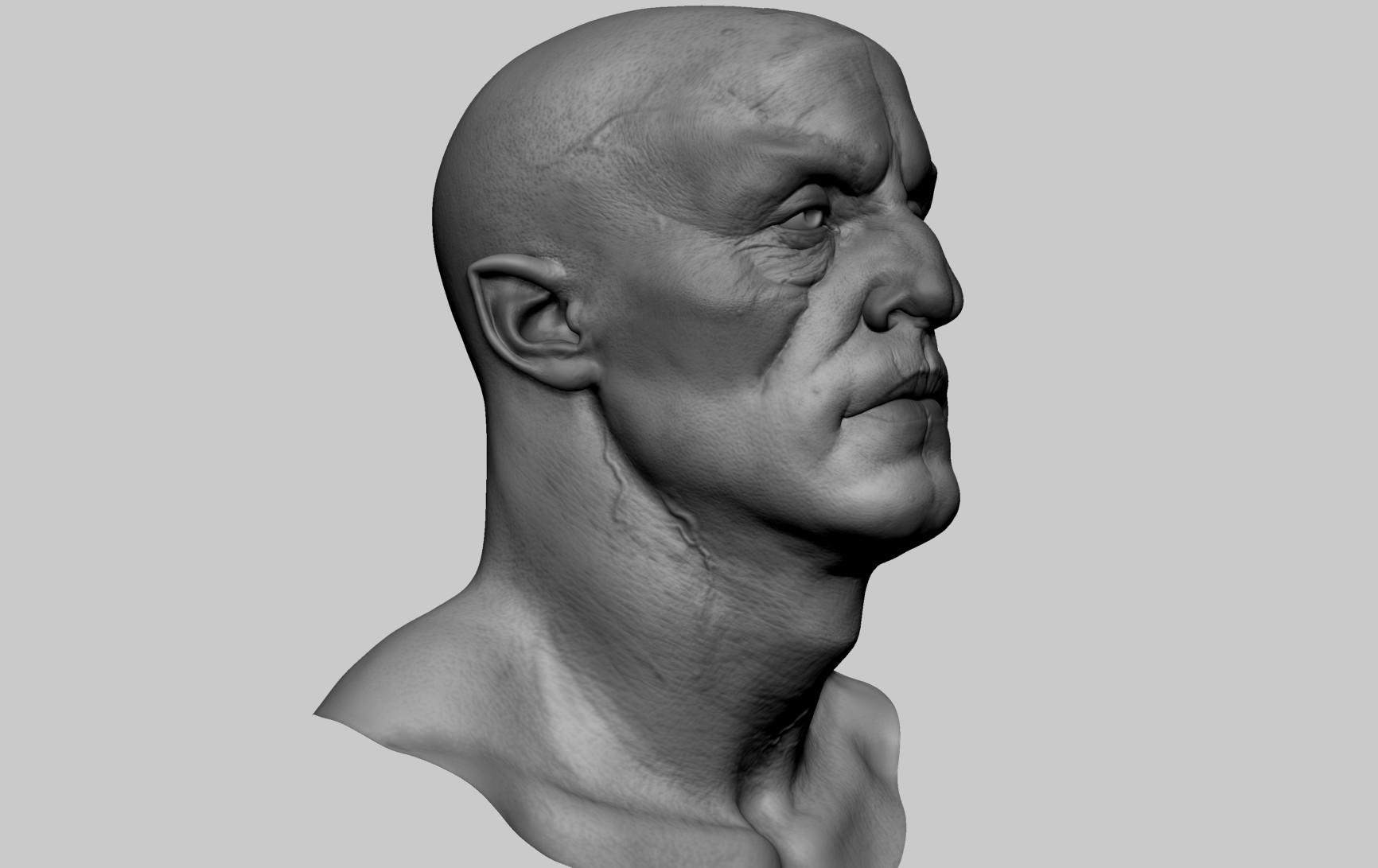 ArtStation - Creature Head Studies | Resources