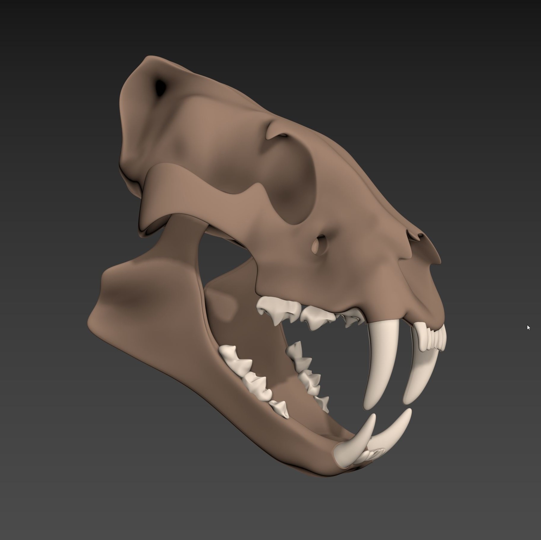 ArtStation - Tiger Skull | Resources