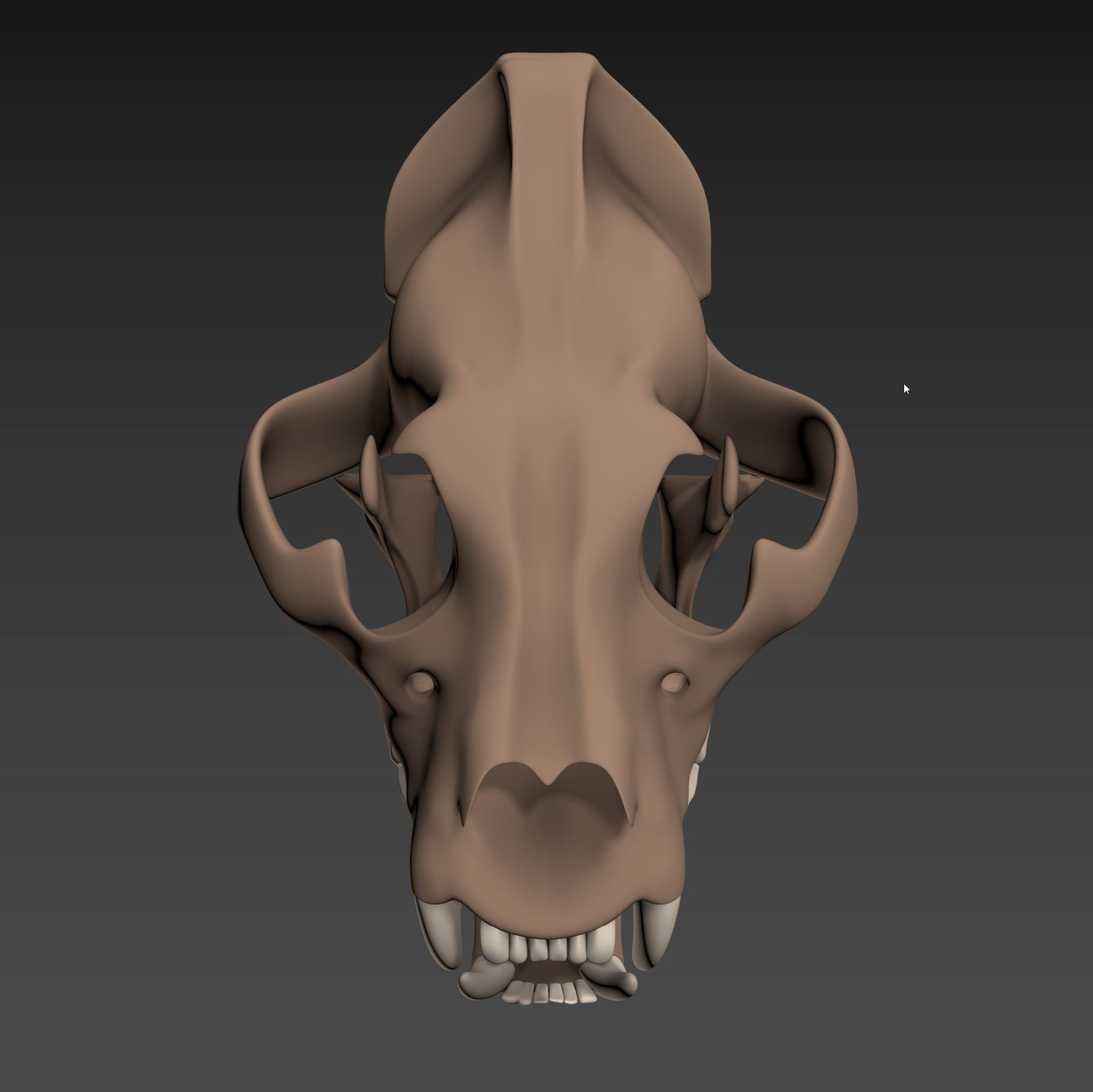 ArtStation - Tiger Skull | Resources