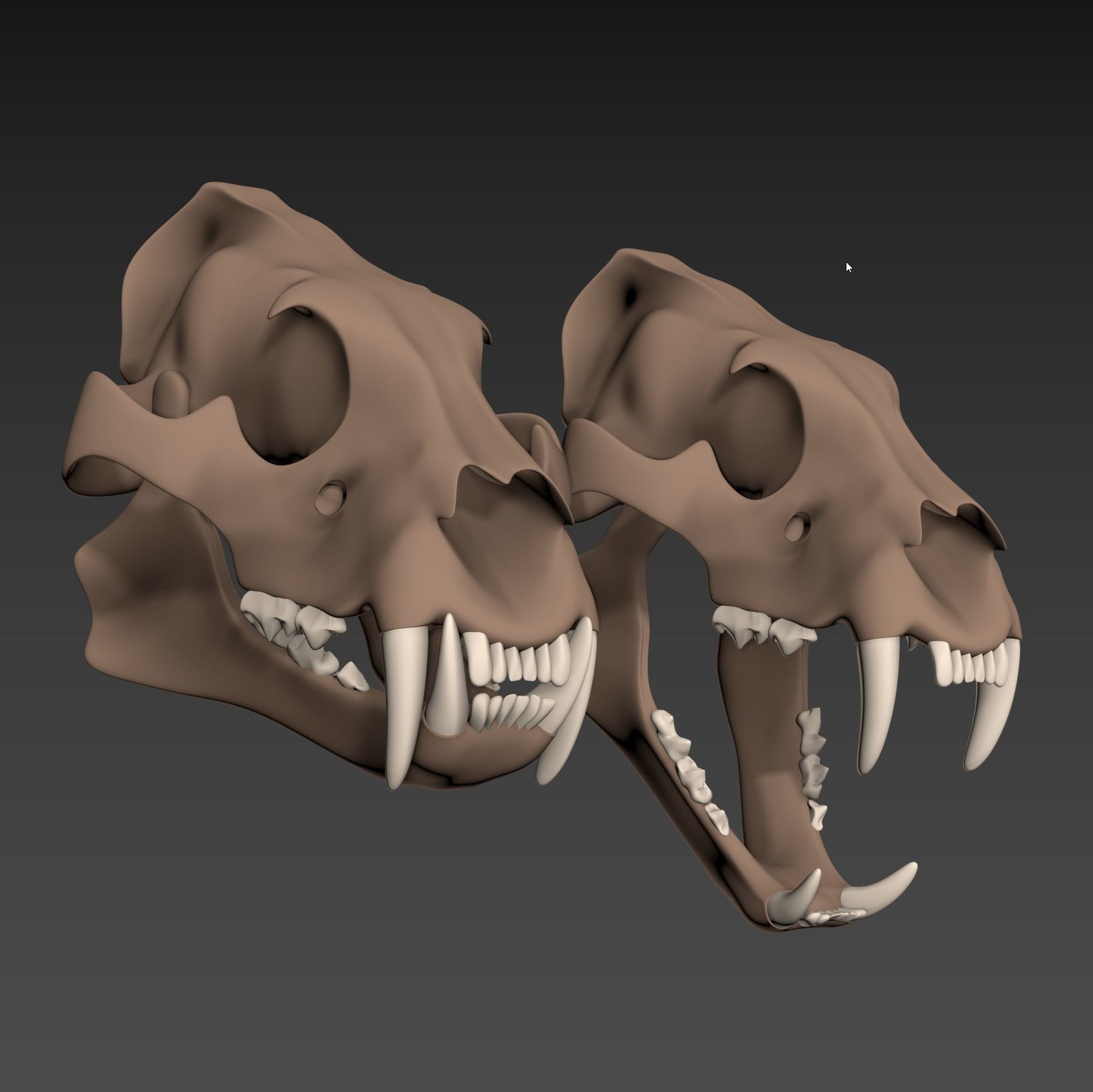ArtStation - Tiger Skull | Resources