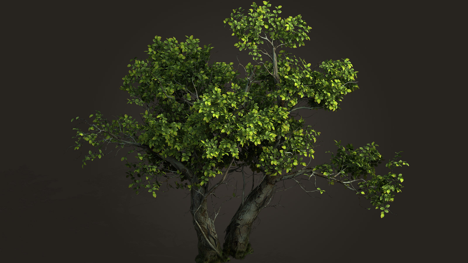 ArtStation - TREES | Resources