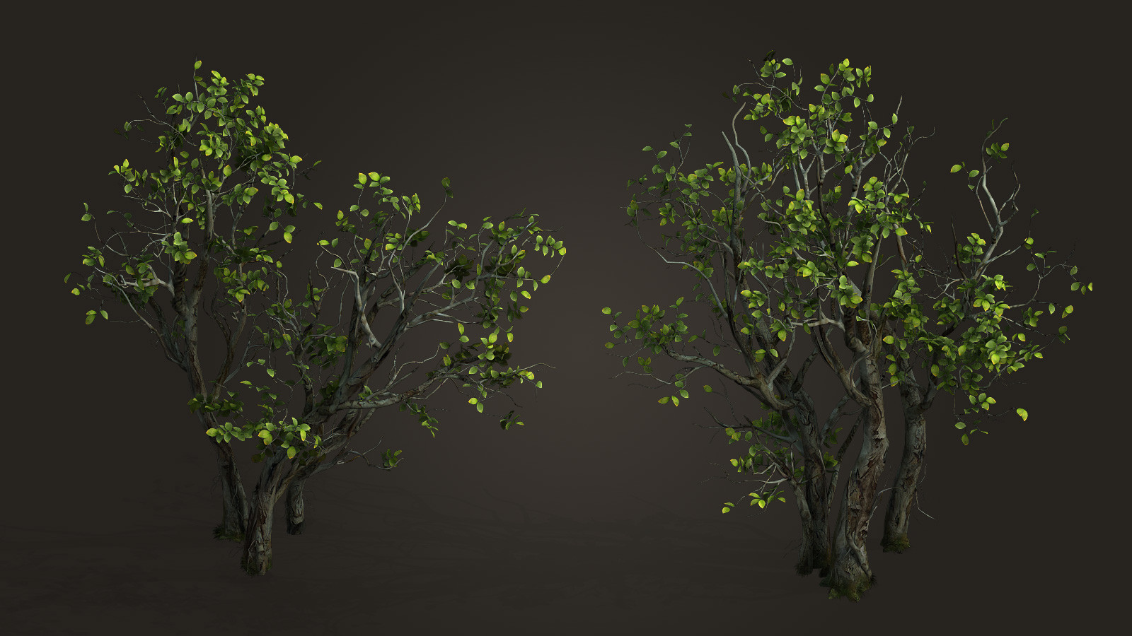 ArtStation - TREES | Resources