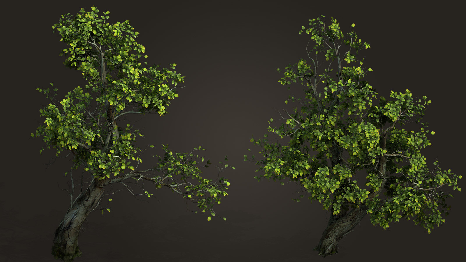 ArtStation - TREES | Resources