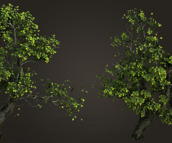 ArtStation - TREES | Resources