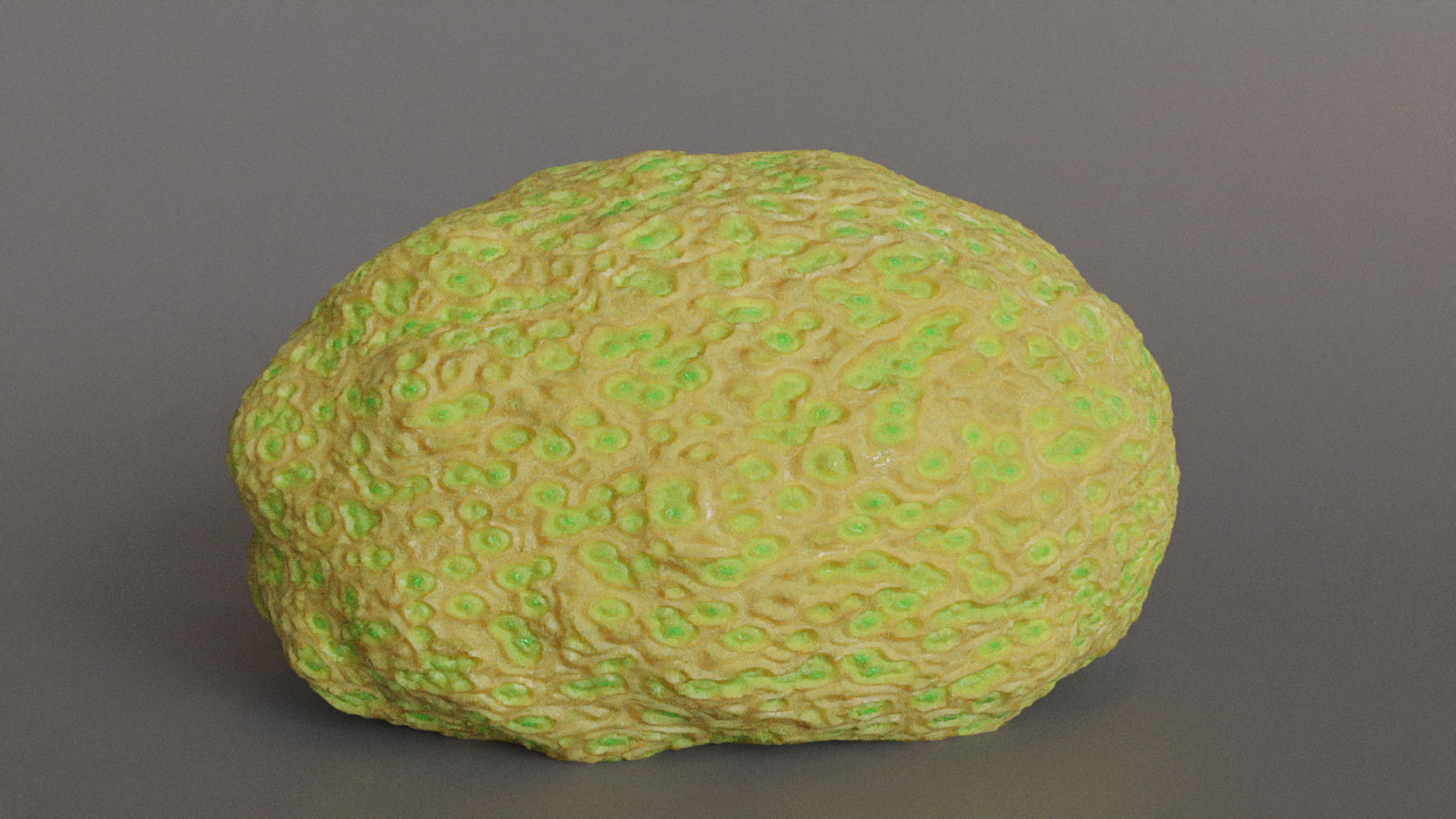 ArtStation - Coral Collection | Game Assets