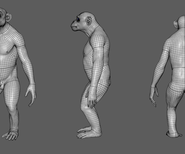 ArtStation - MONKEY - Chimpanzee – sculpt/retopology/skeleton/muscles ...