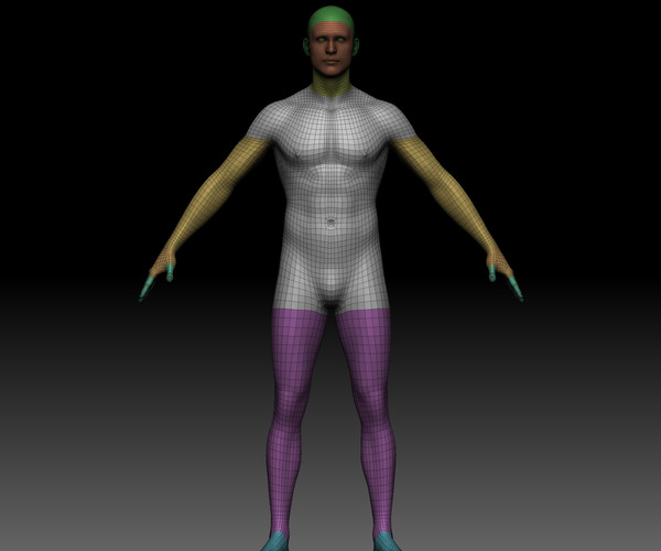 ArtStation - Body Parts BaseMeshes | Resources