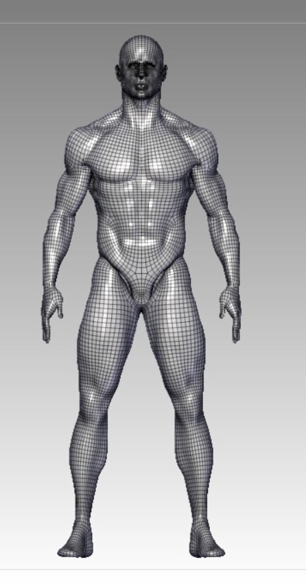 ArtStation - base mesh | Resources