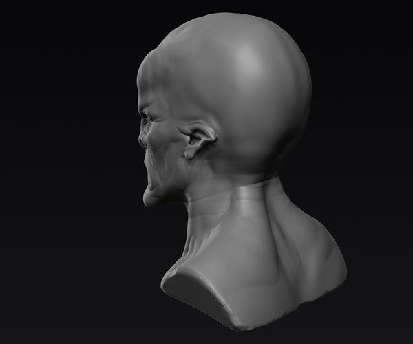 ArtStation - Alien Head 02 | Resources