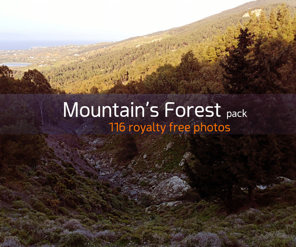 ArtStation - Mountain's Forest pack | Resources