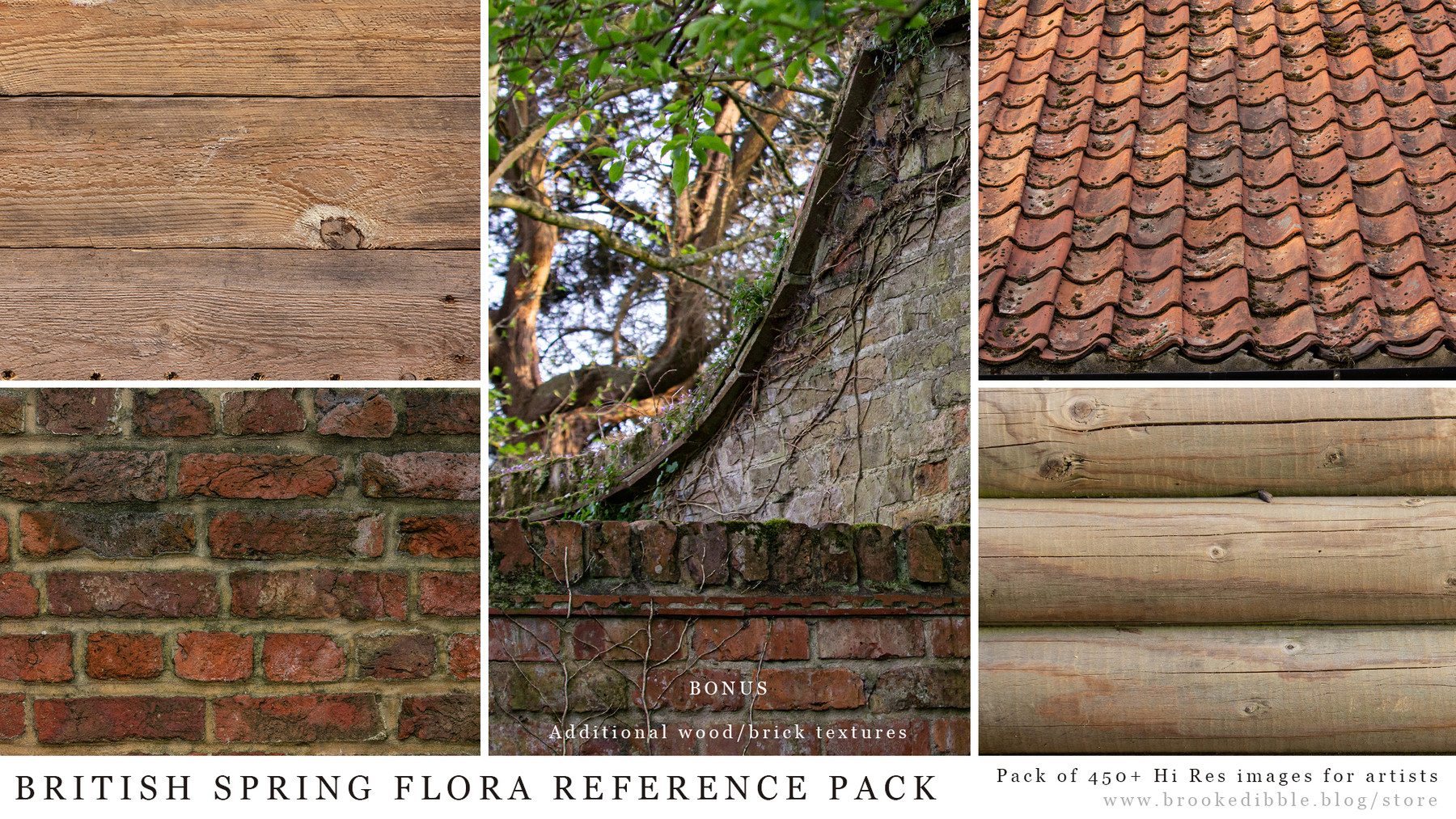 ArtStation - Flowers & Plants - 450+ Spring Flora Reference Pack Vol1 ...