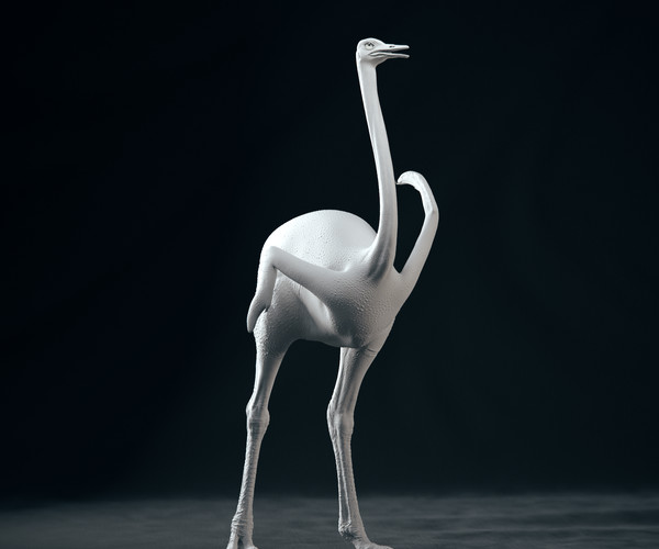 ArtStation - Realistic 3D model of Ostrich | Resources
