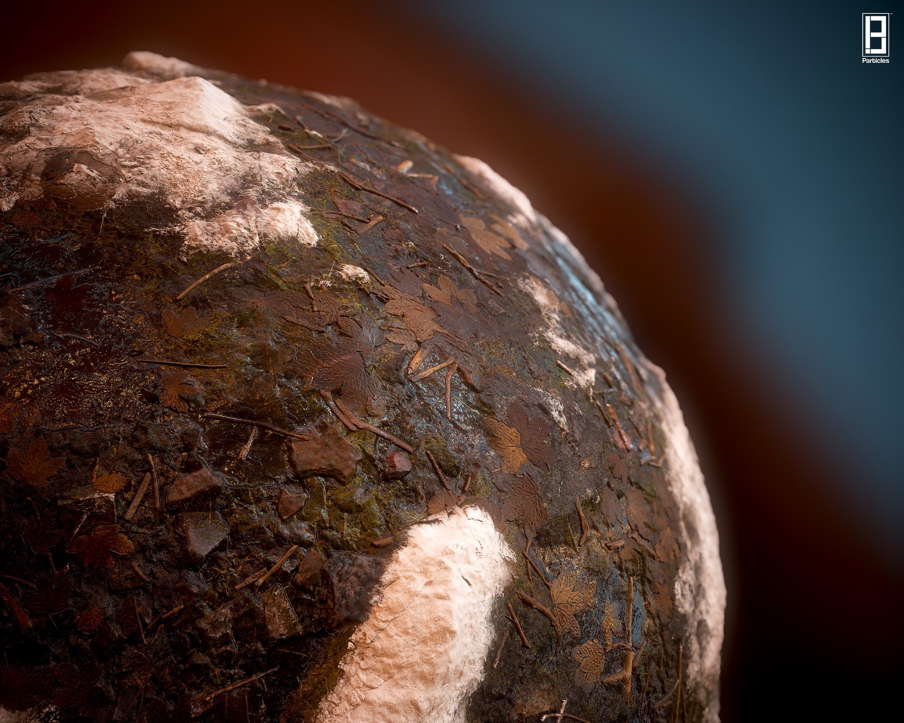 ArtStation - 4k PBR Texture Of Snowy Moss | Resources