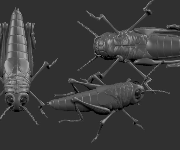 ArtStation - Grasshopper tutorial | Tutorials