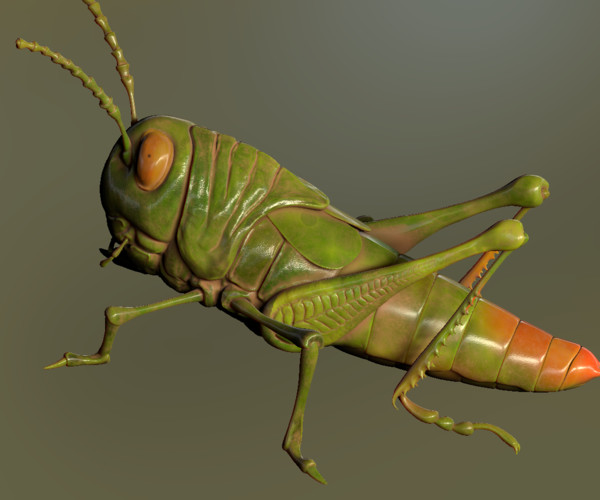 Artstation Grasshopper Tutorial Tutorials