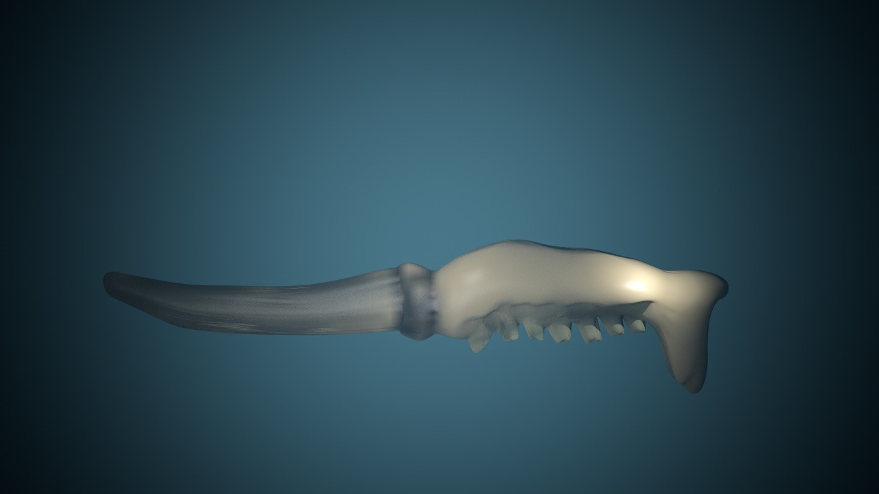 ArtStation - Native American indian bone knife | Game Assets