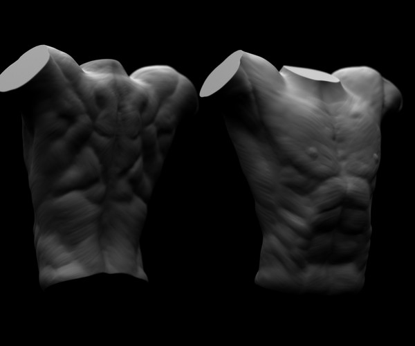 ArtStation - Torso: Hi-poly + lowpoly | Game Assets
