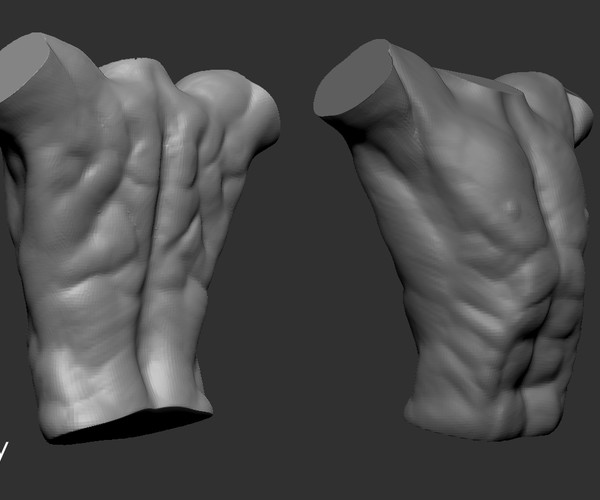 ArtStation - Torso: Hi-poly + lowpoly | Game Assets