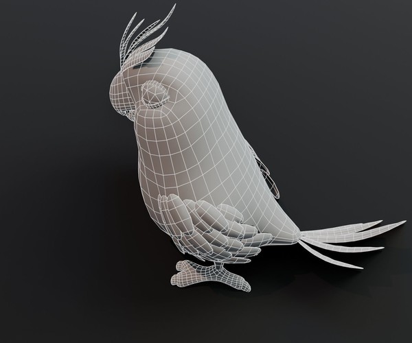 ArtStation - Cartoon Parrot Bird Base Mesh 3D Model | Game Assets