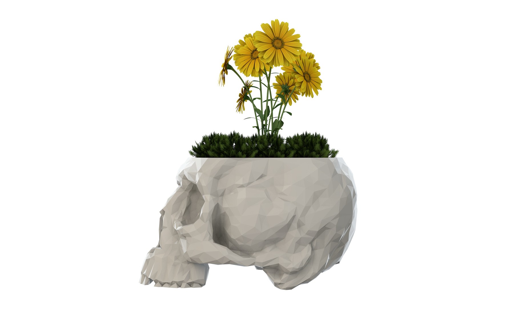 ArtStation - Skull Vase Low Poly | Resources