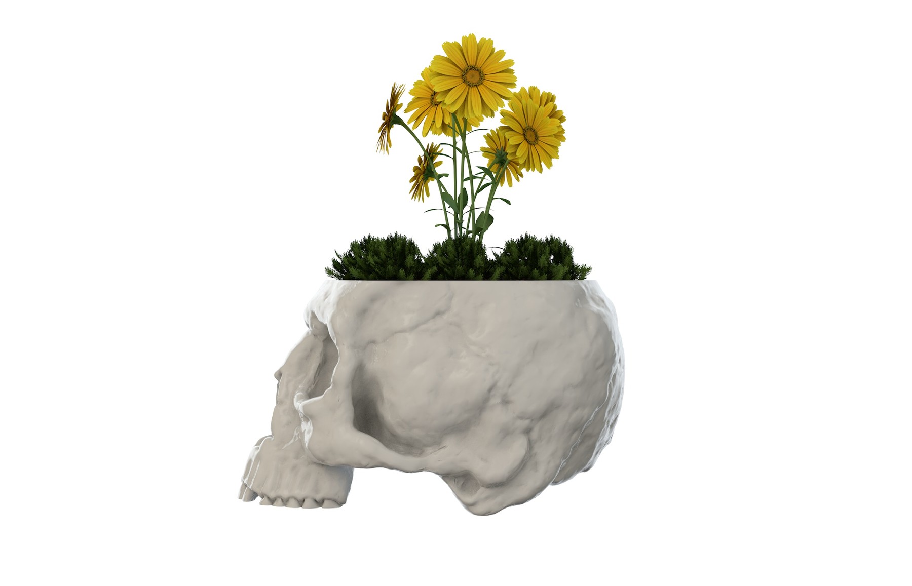 ArtStation - Skull Vase High Poly | Resources