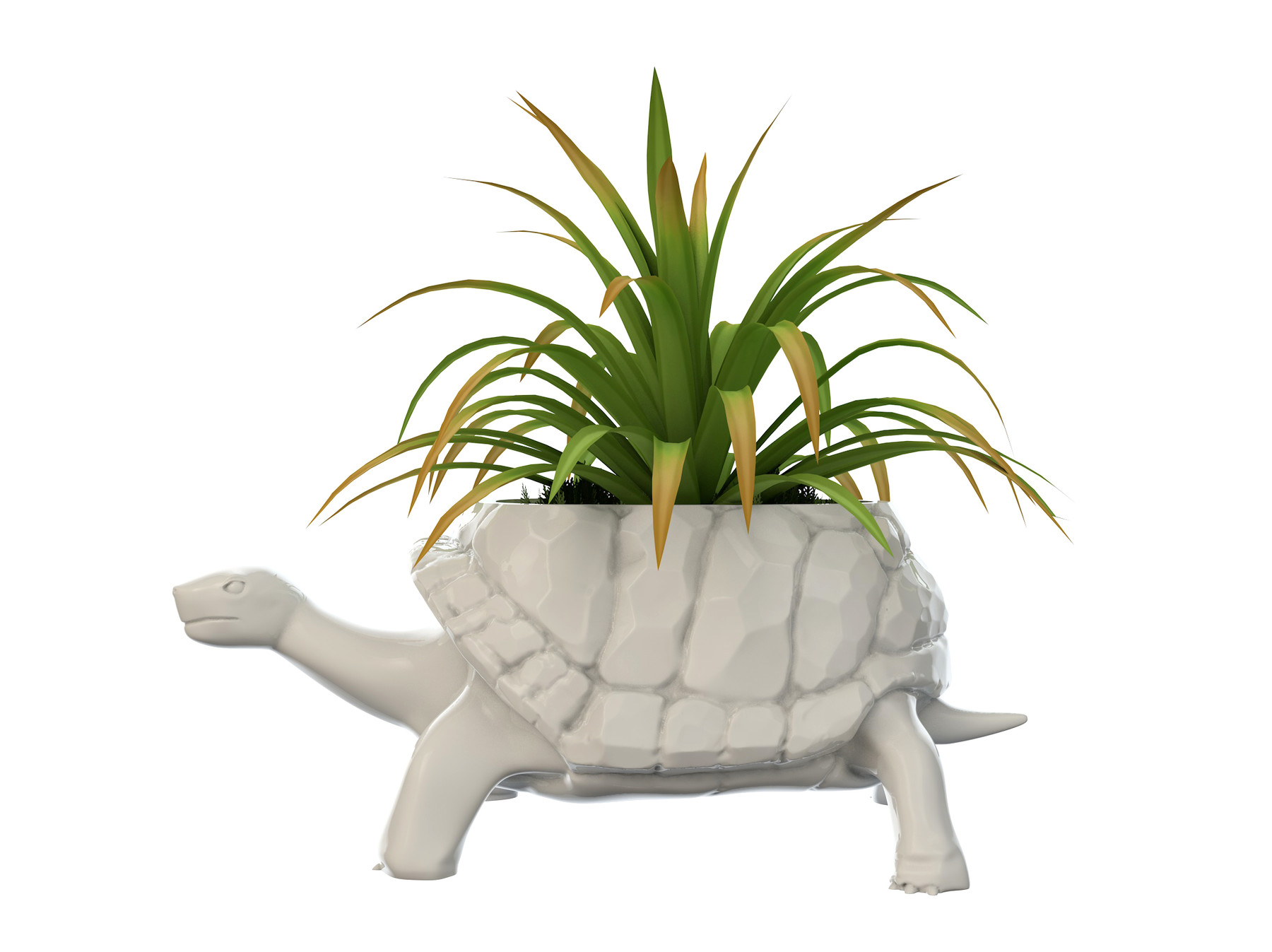 ArtStation - Turtle vase Plant | Resources