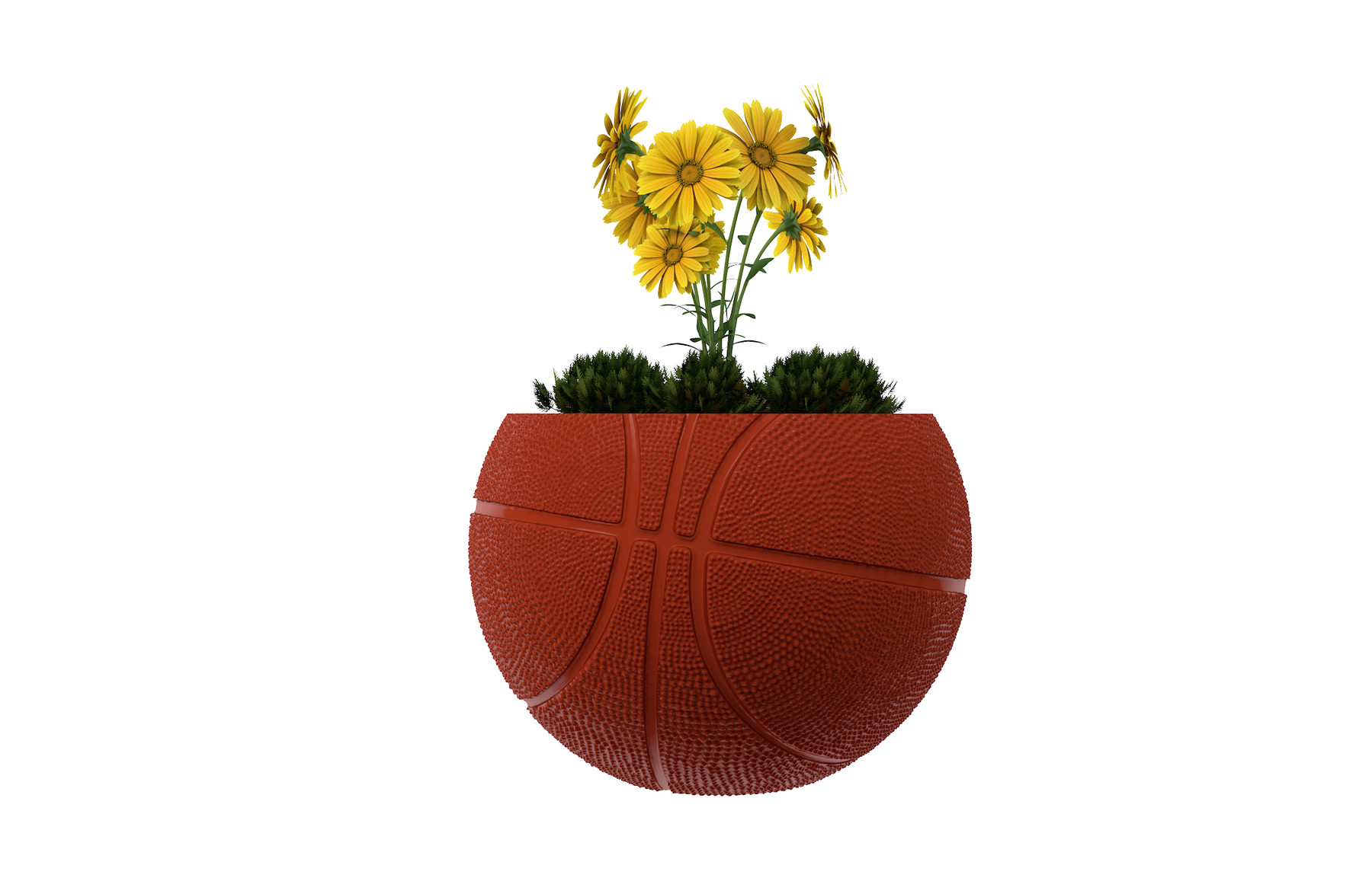 ArtStation - BasketBall Vase Plant | Resources